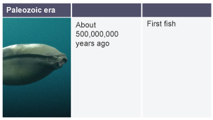 Evolution over time - How was the theory of evolution developed? - OCR ...