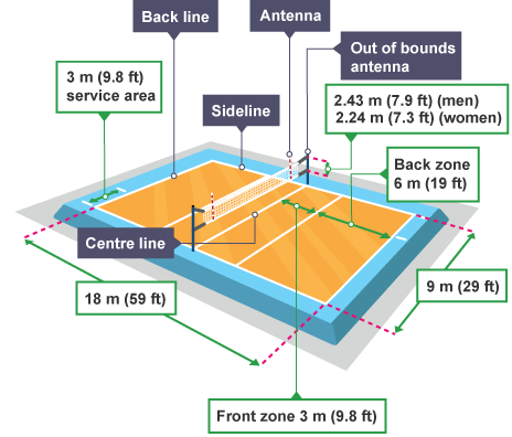 Volleyball Positions And Player Roles