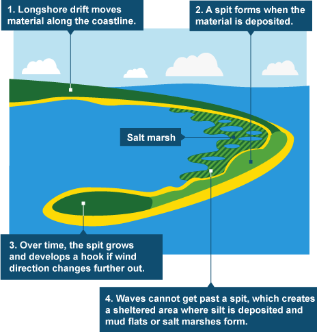 Wave Deposition Landforms COASTAL PROCESSES & TERRAIN PT1