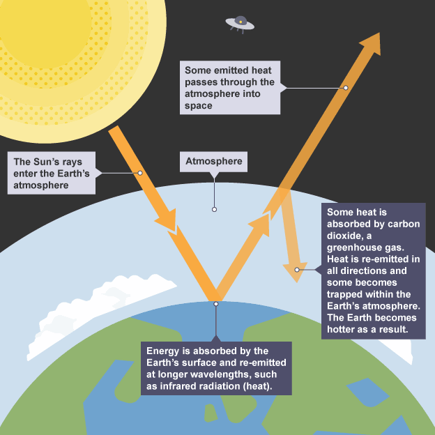 Bbc bitesize ks3 ks4 - personalhygiene.x.fc2.com