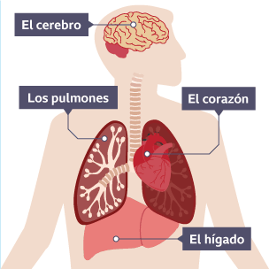 Vocabulary - healthy living - Healthy and unhealthy living in Spanish ...