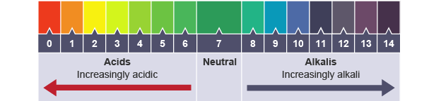 Acids and Alkalis - BBC Bitesize