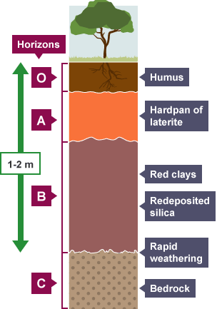 Soil Layers Diagram For Different Climates Climate And Land Use