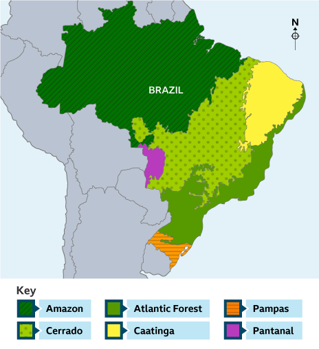 Physical Map Of Brazil Detailed Brazil Map With Province Vector Art