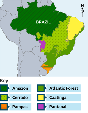 Introduction to Brazil - KS3 Geography - BBC Bitesize