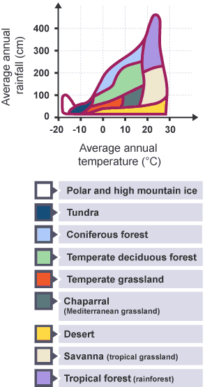 Rain Biome Chart