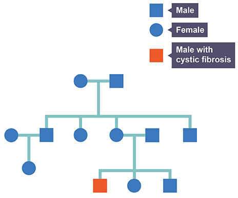 Heredity Diagram Mind Map Of Heredity And Evolution? EduRev Private