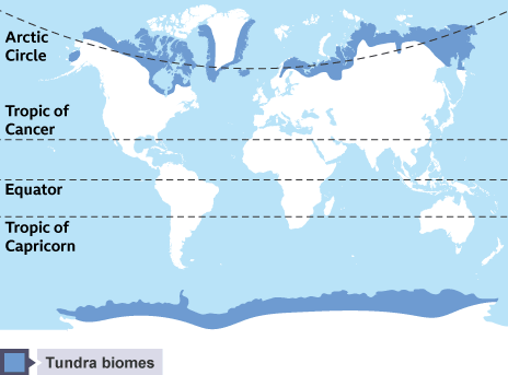 Arctic Tundra Map Cold Environments Guide For KS3 Geography Students