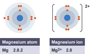 Magnesium Ion