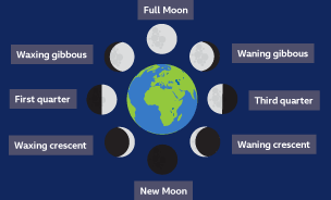 Days, months, years and seasons guide for KS3 physics students - BBC ...