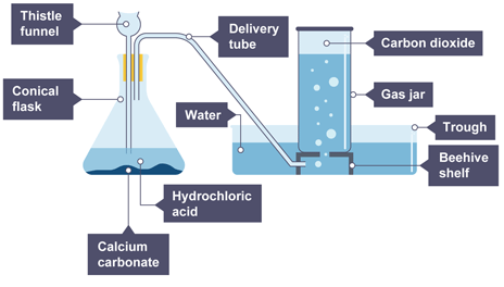 Igcse Chemistry Lab Preparation Of Carbon Dioxide Youtube