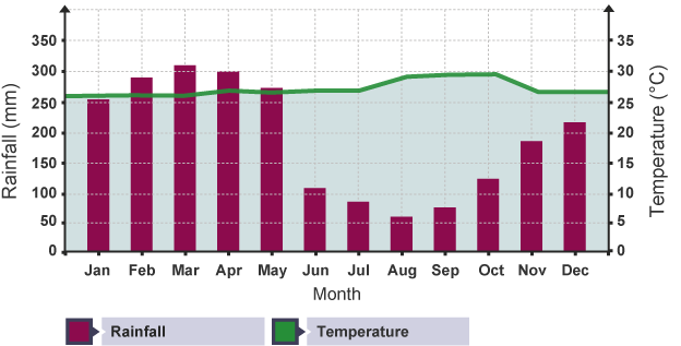 Rainforest Vegetation Graph Global Forest Types Based On Climatic And