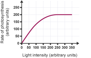 Maths questions - Sample exam questions - transport over larger ...