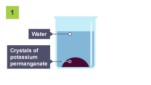 BBC Bitesize - GCSE Biology - Movement across cell membranes - Revision 2