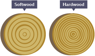 Characteristics and properties - Timbers - Edexcel - GCSE Design and ...