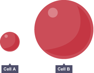 Maths questions - Sample exam questions - using food and controlling ...