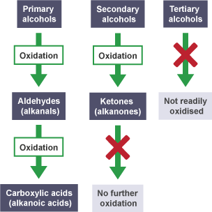 Oxidation of alcohols - Revise: Oxidation of food - Higher Chemistry ...