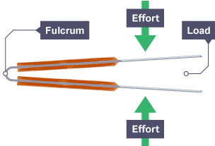 1.27 Levers - BBC Bitesize