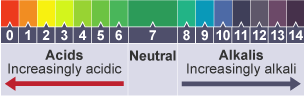 BBC Bitesize - GCSE Chemistry - pH scale and indicators - Revision 2