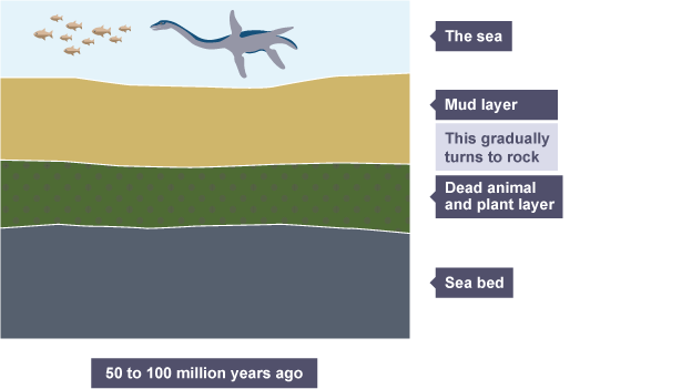 Fossil Fuels Formation