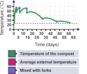 One to four mark questions - Sample exam questions - community level ...