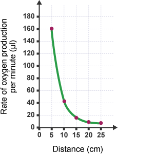 Practical questions - Sample exam questions - bioenergetics - AQA ...