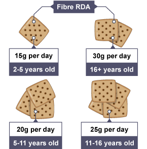 Fibre - Water and fibre – CCEA - GCSE Home Economics: Food and ...