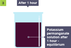 Diffusion - Transport across membranes - National 5 Biology Revision ...