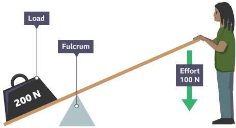 Lever Diagram For Kids