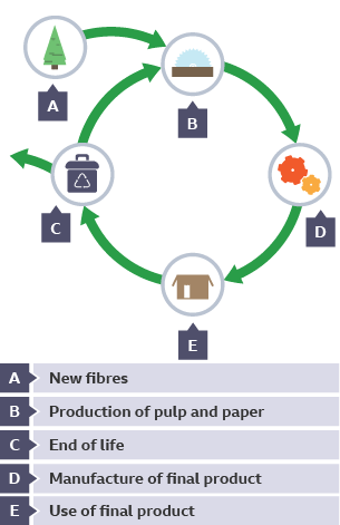 Sources and origins - Papers and boards - Eduqas - GCSE Design and ...