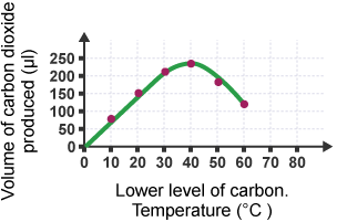 Scientific calculation questions - Sample exam questions ...