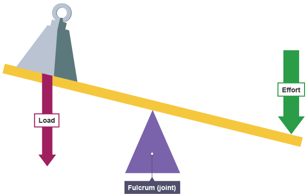 Mechanical Advantage And Disadvantage Of Engineers