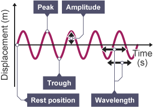 Basic Parts Of A Longitudinal Wave