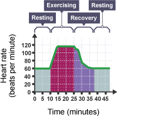 Scientific calculation questions - Sample exam questions ...