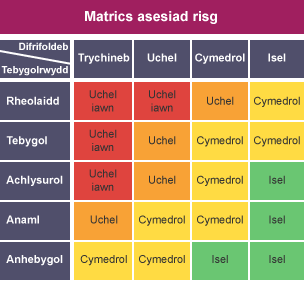 Camau asesu risg - Cynllunio a threfnu - CBC Cenedlaethol: Sylfaen CA4 ...