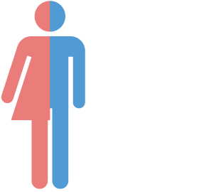 Genders - Pronouns - GCSE German Revision - BBC Bitesize