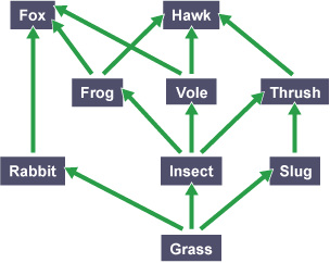 BBC Bitesize - GCSE Biology - Food chains - Revision 2
