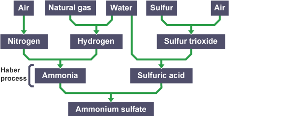 Haber Process Schematic Diagram