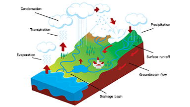 Processes in the river - BBC Bitesize