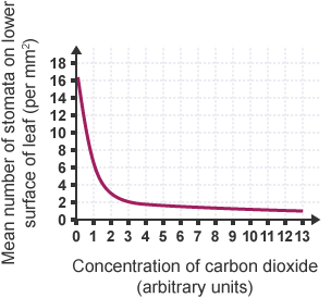 Structured and short answer questions - Sample exam questions ...