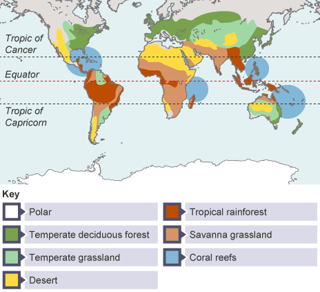 Examples Of Ecosystems In The World BIO 7: April 30 May 2 Preview