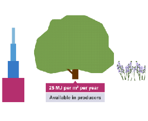 Transfer of biomass - Organisation of an ecosystem - Edexcel - GCSE ...