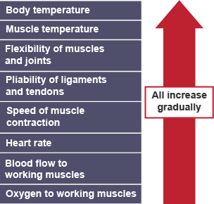 The effects of the warm up and cool down process - Methods and effects ...