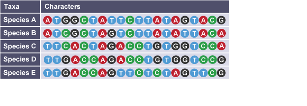 What Can We Learn From Fossils Bbc Bitesize BBC Bitesize Highlights