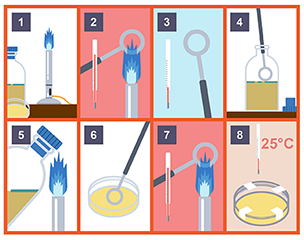 What are aseptic techniques in GCSE Biology? - BBC Bitesize