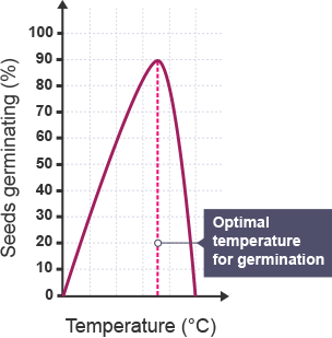 Plant growth - Revise: Growth and development of different organisms ...
