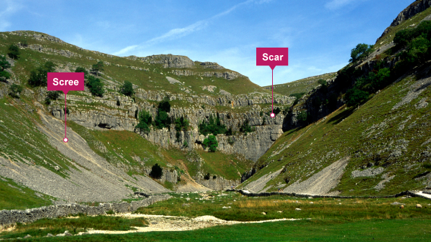 scar - English Vocabulary - English - The Free Dictionary Language Forums