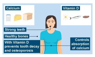 The Eatwell Guide - Nutrition & food - GCSE Hospitality (CCEA) Revision ...
