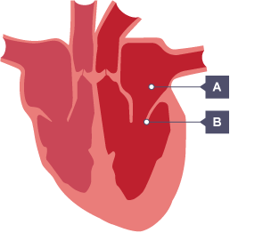Multiple choice questions - Sample exam questions - organisation - AQA ...
