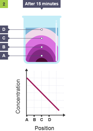 Diffusion - Transport across membranes - National 5 Biology Revision ...